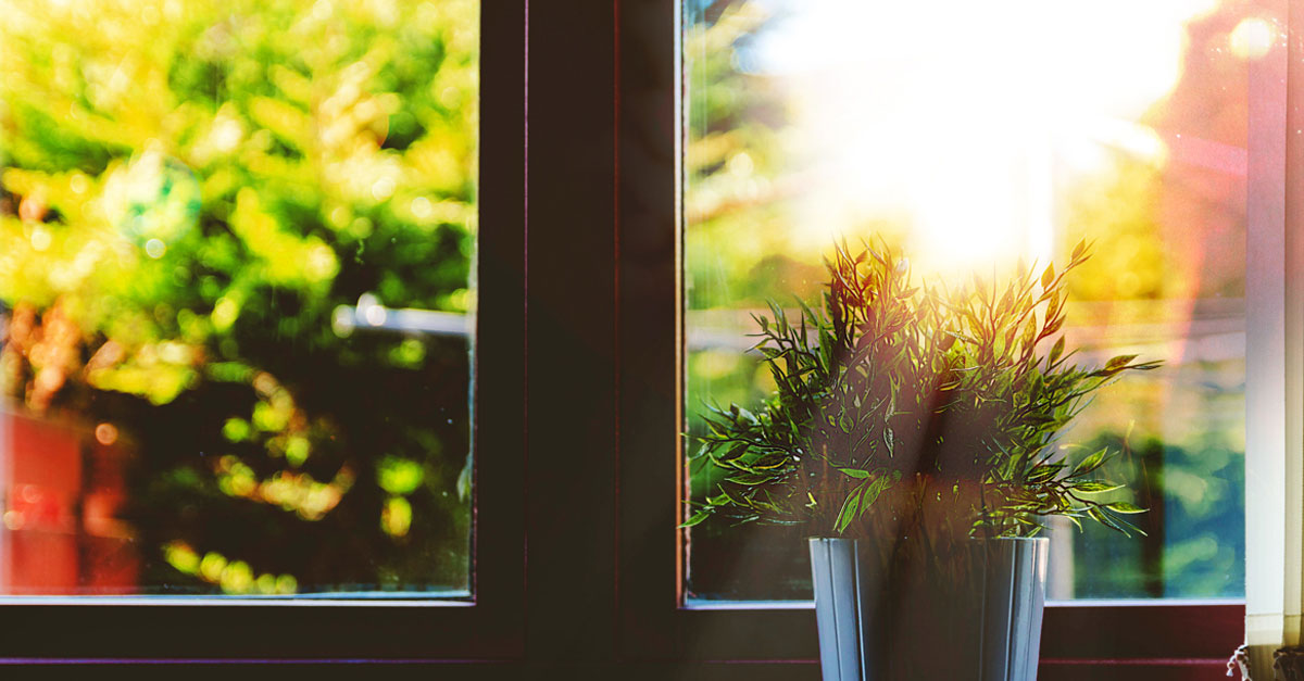 Green GB Week: building tomorrow’s clean energy market