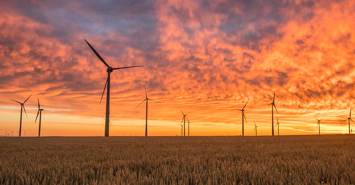 Octopus Energy Investments rebrands to Octopus Renewables | Octopus Group