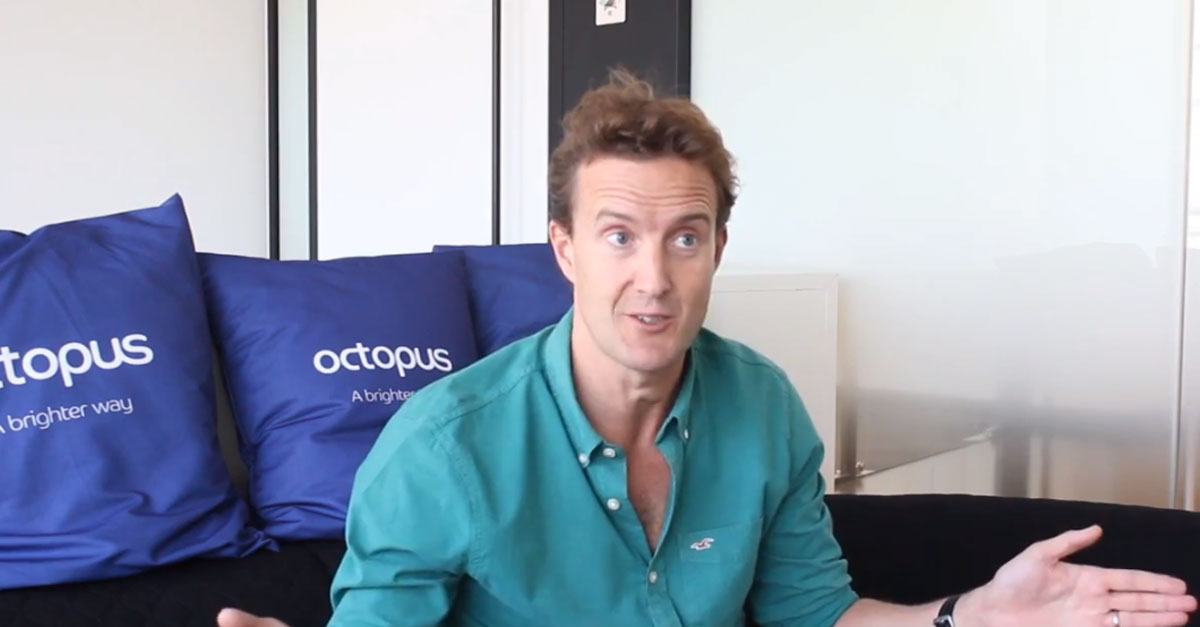 The Anchor - What Octopus is doing | Octopus Group