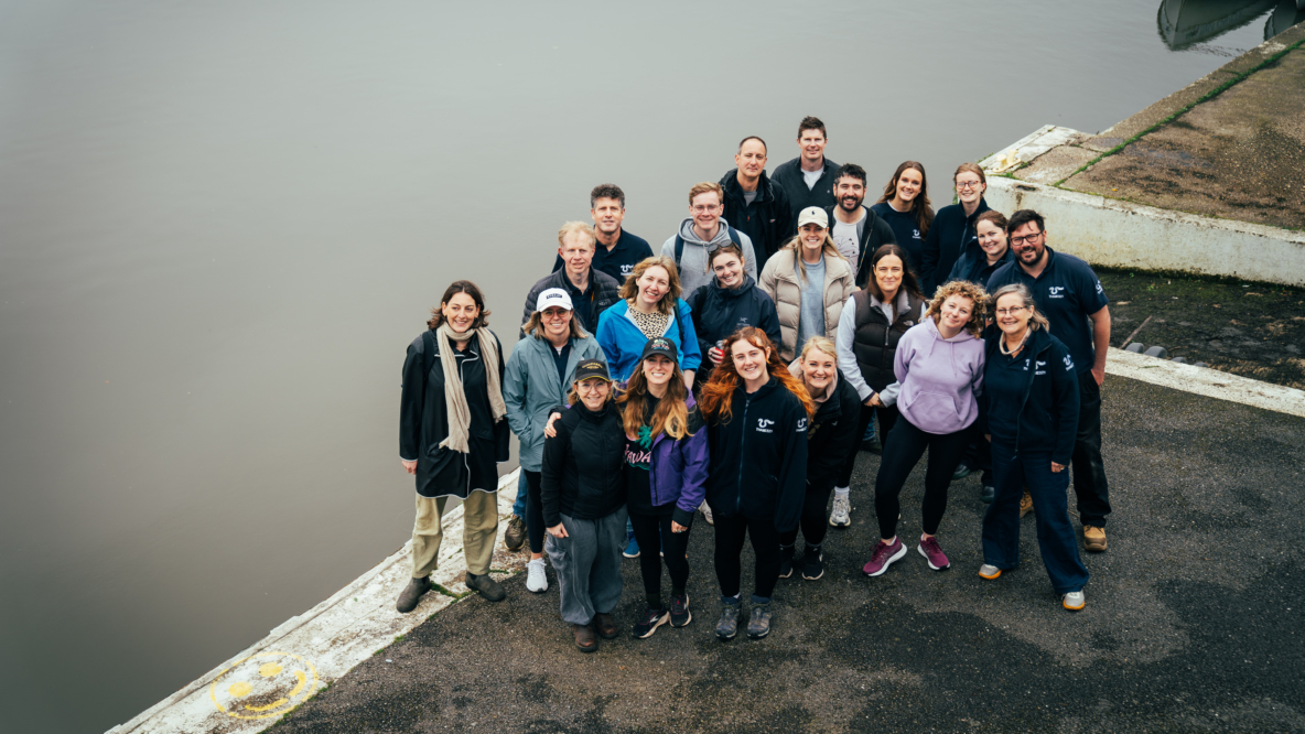 🐙 Octopus Group: Investments, Real Estate, Ventures, Energy, Wealth